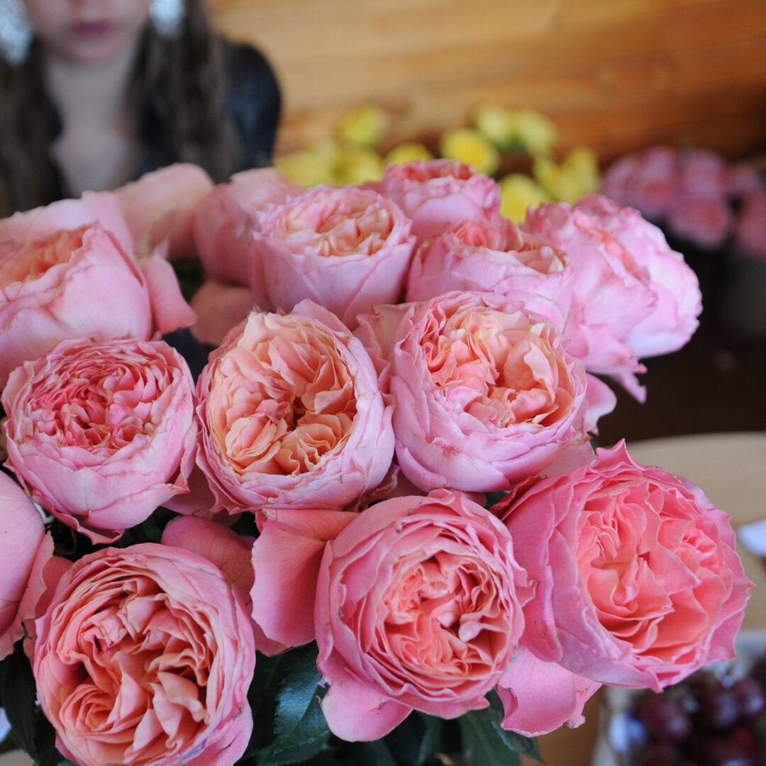 Color Variety in Garden Roses from Alexandra Farms | Florists' Review