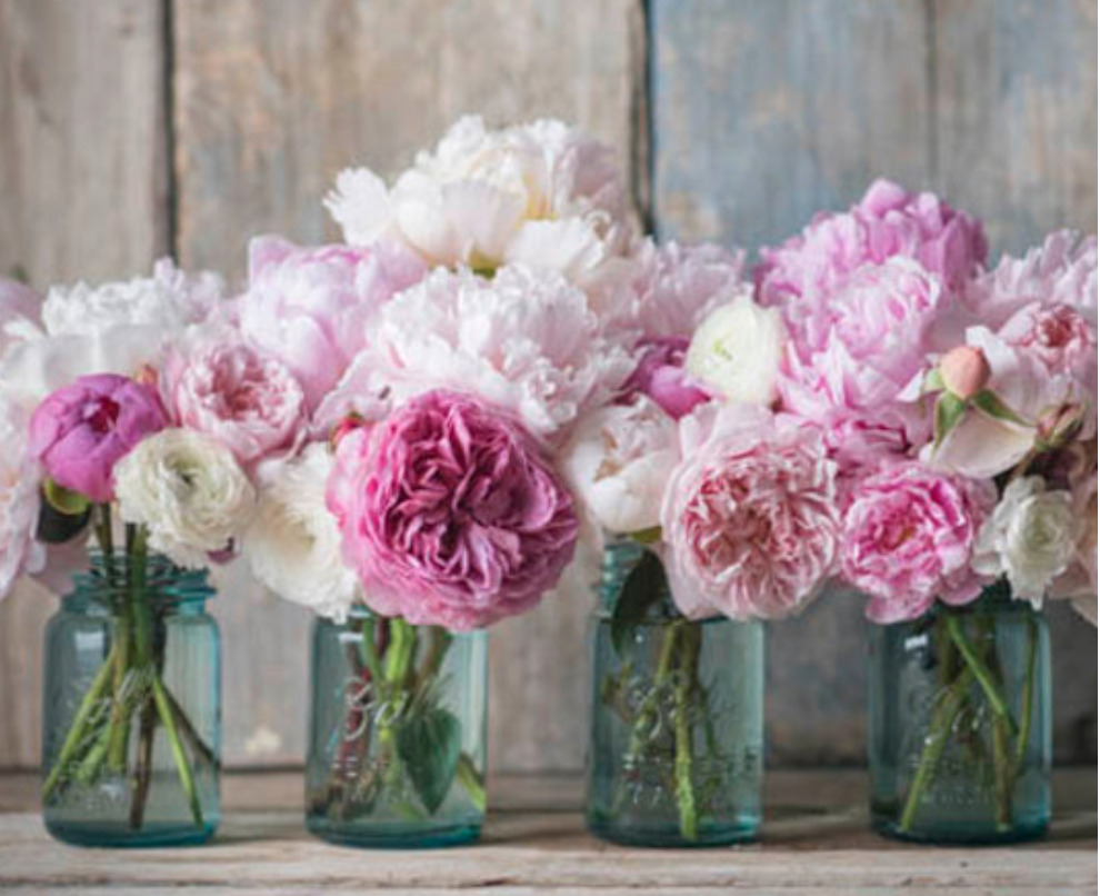 The 50 State Flower Garden Project | Florists' Review