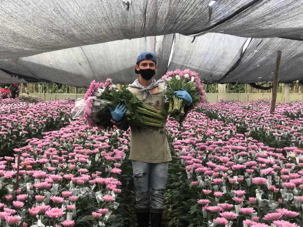 The International Floral Industry | Florists' Review