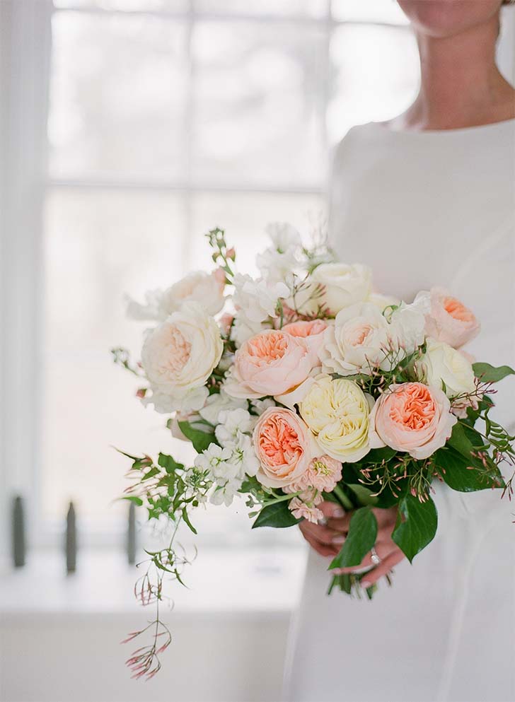 The Evolution of the Garden Rose | Florists' Review