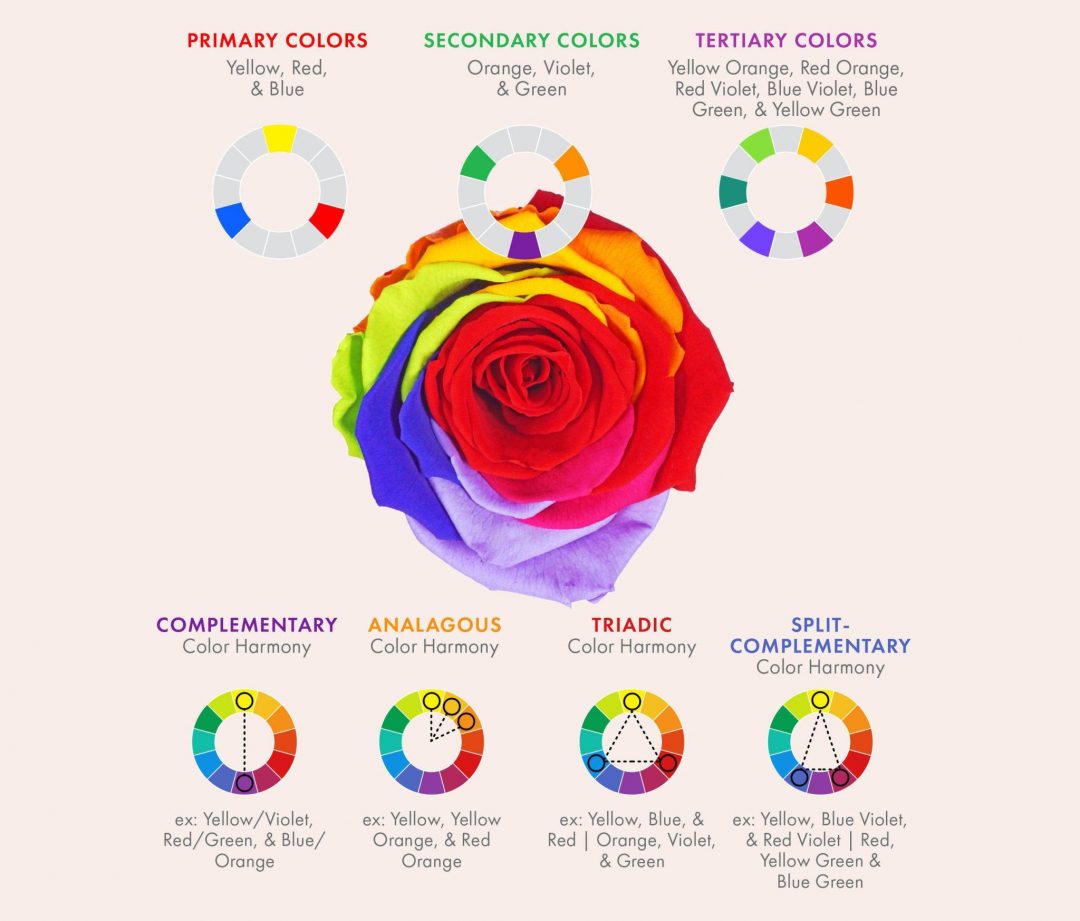 How To Use A Flower Color Wheel to Achieve Spectacular Results ...
