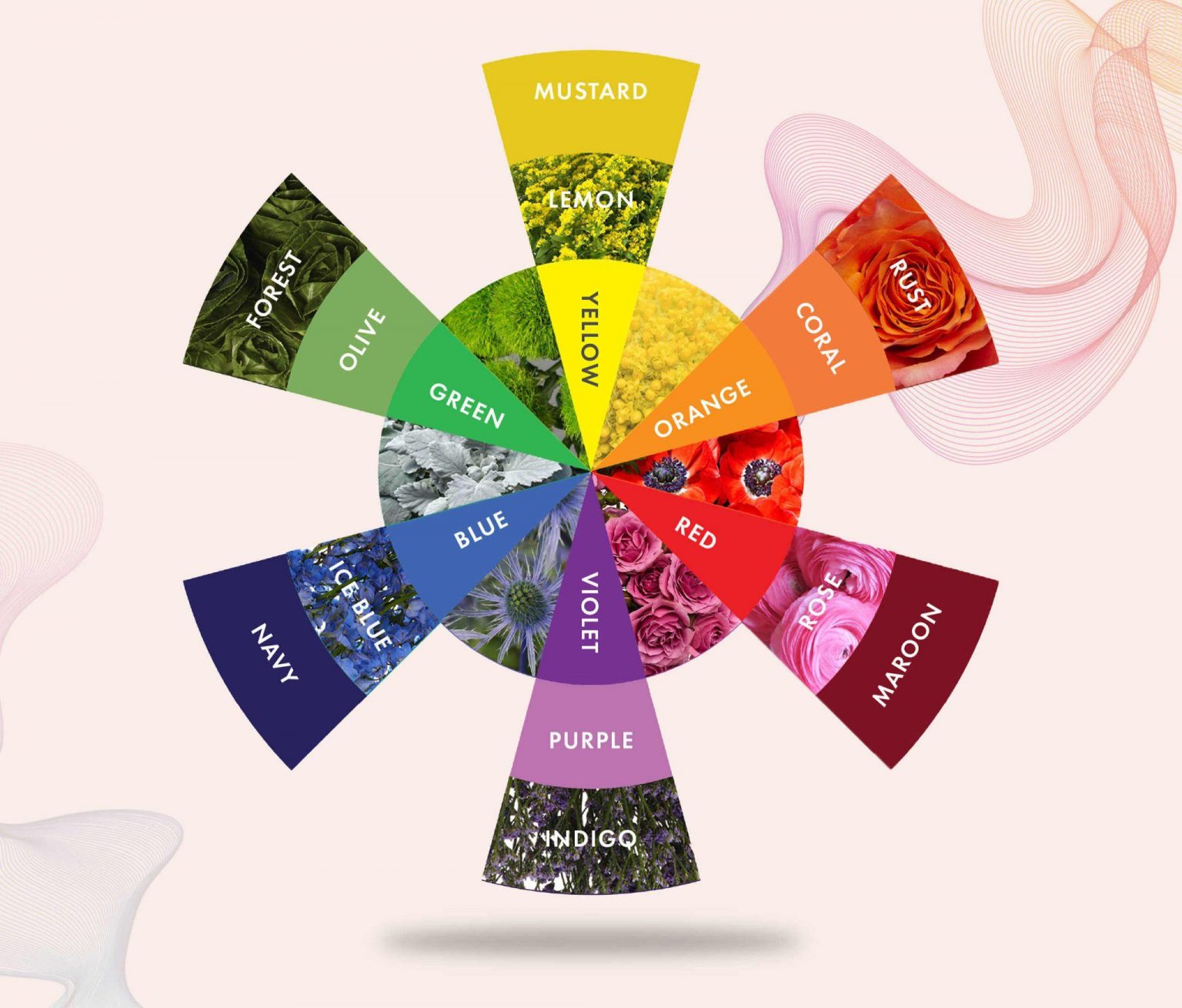 How To Use A Flower Color Wheel to Achieve Spectacular Results ...