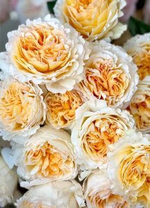 Using David Austin Roses to Create Award-Winning Floral Designs for ...