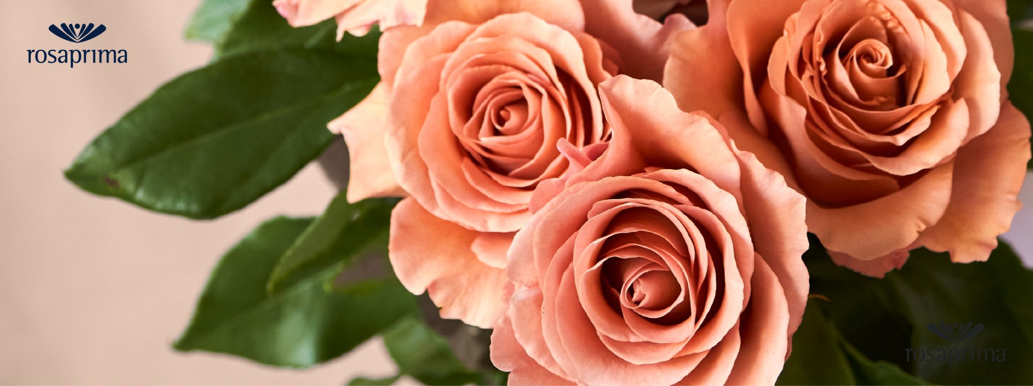 Florists' Review – The international source for the floral industry ...