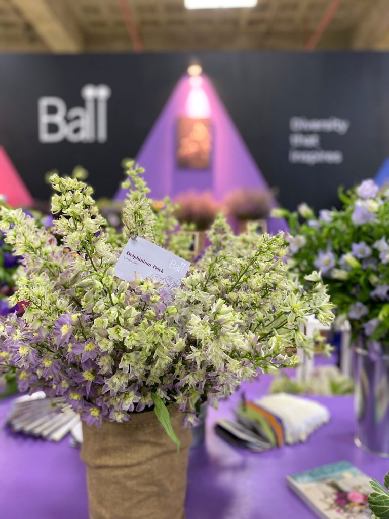 IFTF 2022 Will Be One of the Best Fairs in Decades | Florists' Review