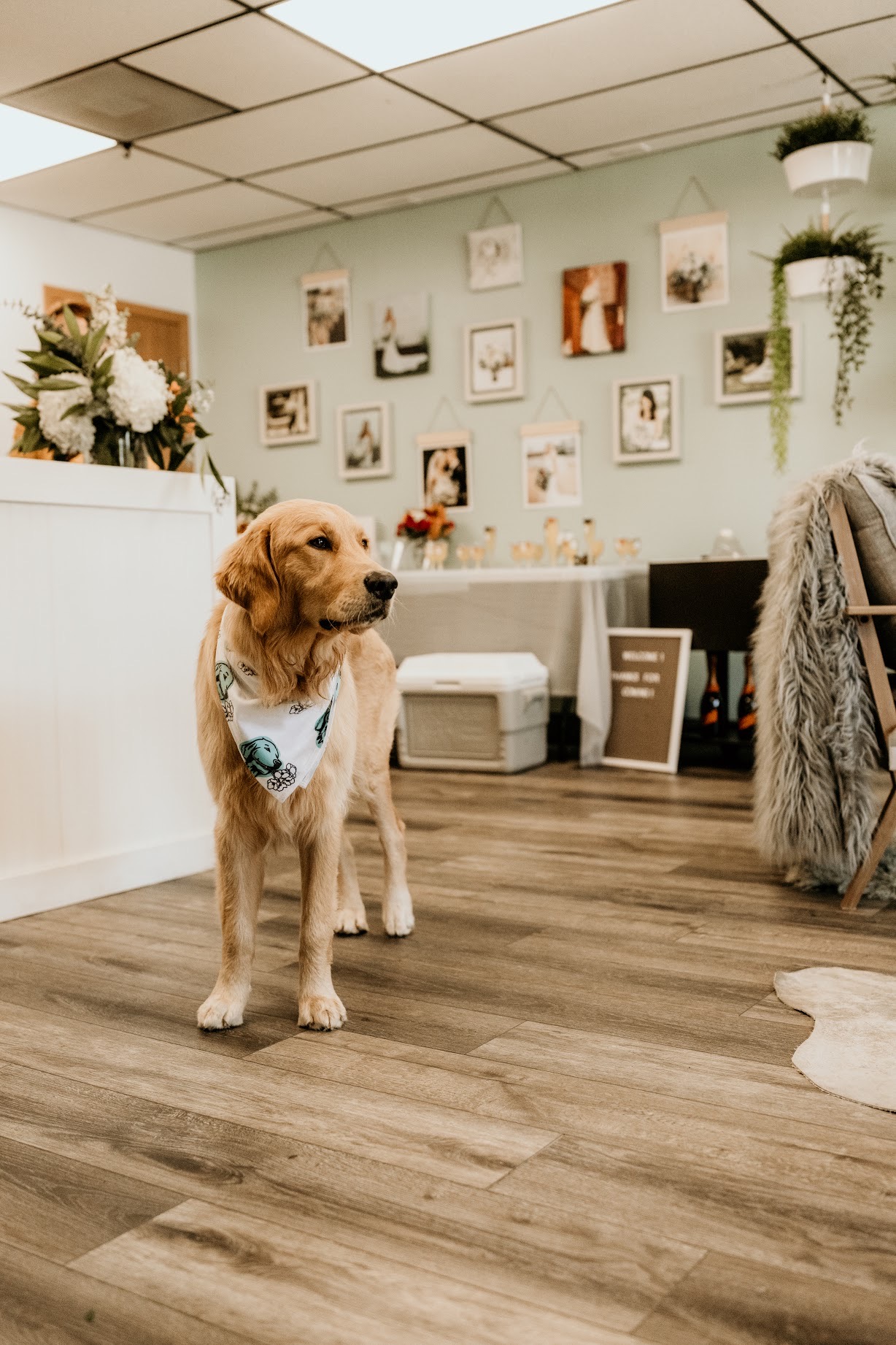 Studio Versus Store: Which Business Model is Right for You? | Florists ...