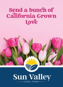 The Inírida flowers: A story of resilience and sustainability ...