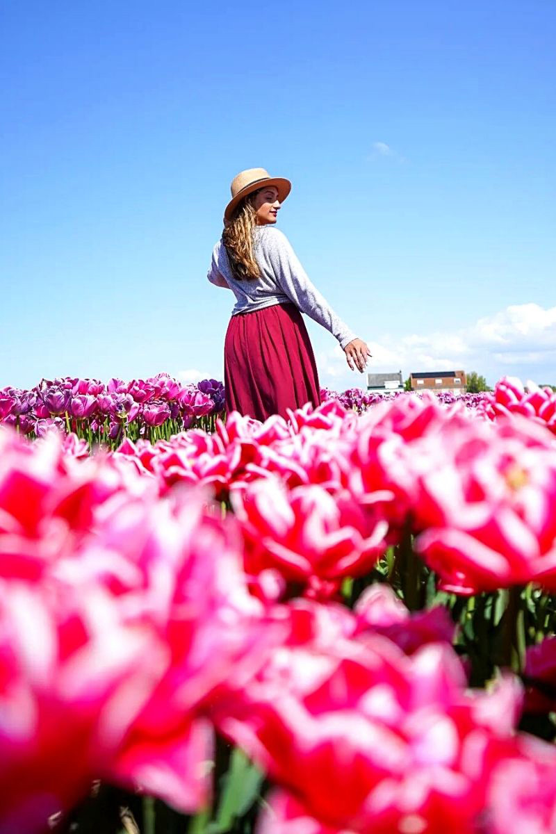 Netherlands – The Land of Tulips | Florists' Review