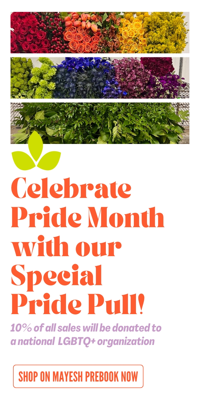 Budding florists get day in the sun in new reality series | Florists ...