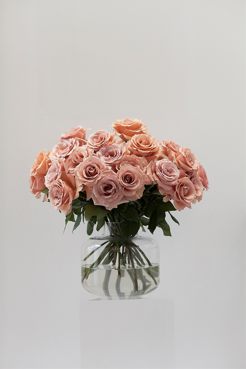 The Home of RP Moab | Florists' Review