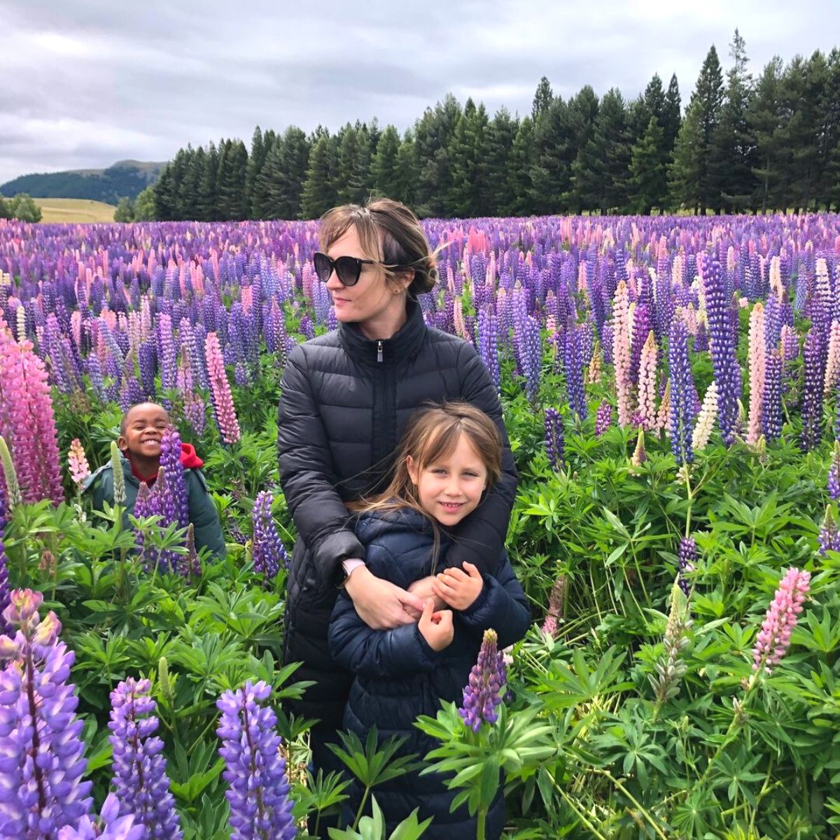 Seeing Lupin Flowers in New Zealand Is a Must | Florists' Review