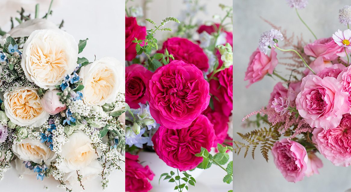 Introducing Three New David Austin Wedding Roses | Florists' Review